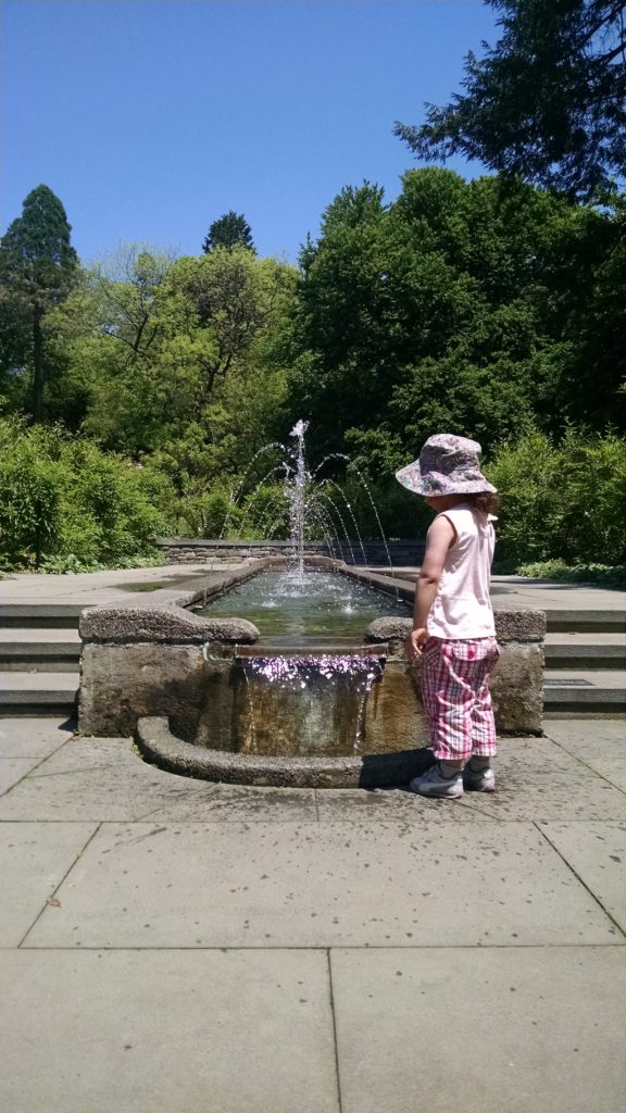 Spring Thing: Out on a Limb at the Morris Arboretum | Crushing Krisis